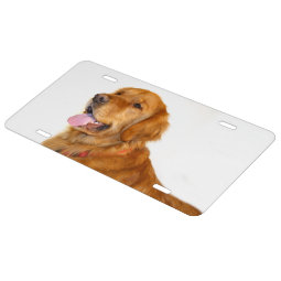 Golden retriever license plate | Zazzle