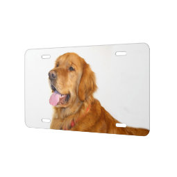 Golden retriever license plate | Zazzle