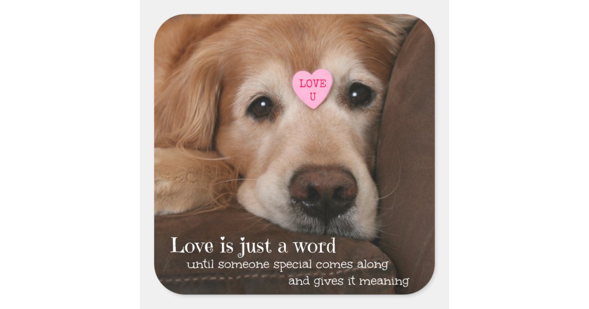 Golden Retriever Love Is Just A Word Square Sticker Zazzle Golden Retriever Love Is Just A Word Square Sticker Zazzle