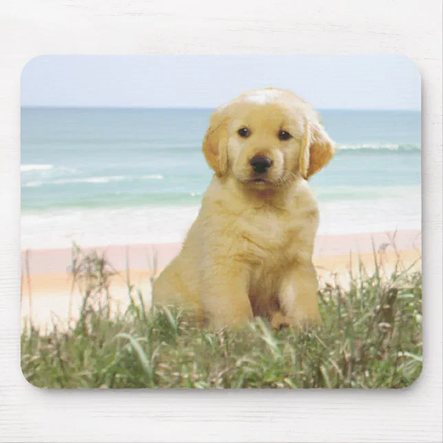 Golden Retriever Mousepad | Zazzle