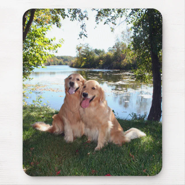 Golden Retriever Park and River Mousepad | Zazzle