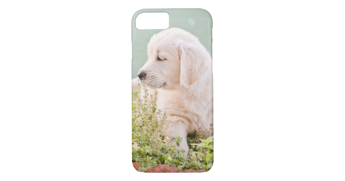 Golden retriever Phone Case | Zazzle