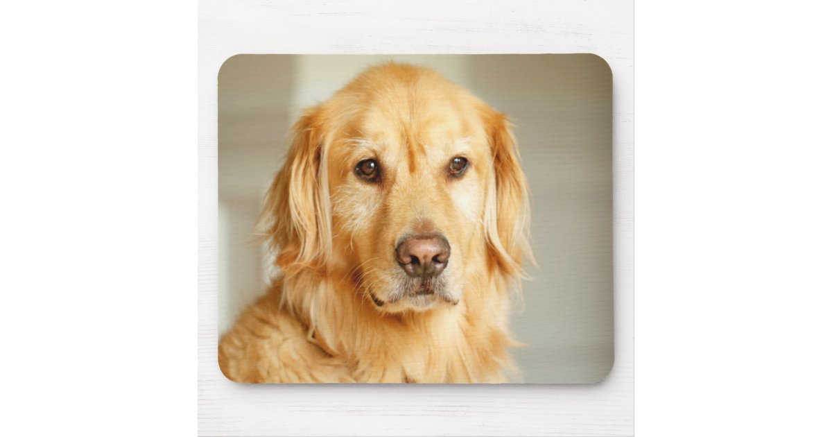 Golden Retriever Portrait Mouse Pad | Zazzle