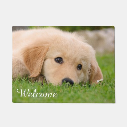 Golden Retriever Pup Dreaming Personalized Welcome Doormat | Zazzle