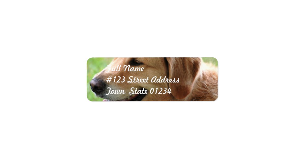 Golden Retriever Pup Mailing Labels | Zazzle