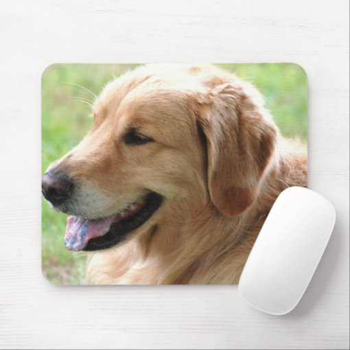 Golden Retriever Pup Mouse Pad | Zazzle