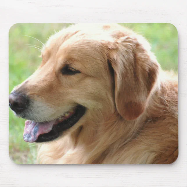Golden Retriever Pup Mouse Pad | Zazzle