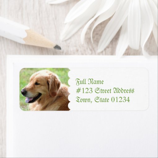 Golden Retriever Pup Return Address Mailing Labels | Zazzle