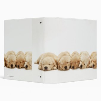 Golden Retriever Puppies Binder | Zazzle