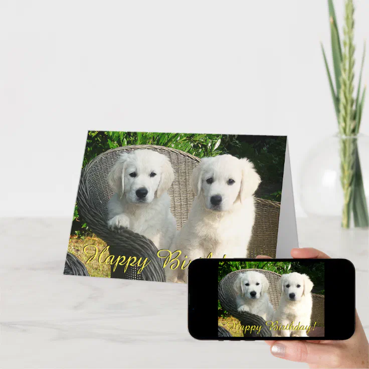 Golden retriever puppies birthday card | Zazzle