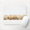 Golden Retriever Puppies Mouse Pad | Zazzle