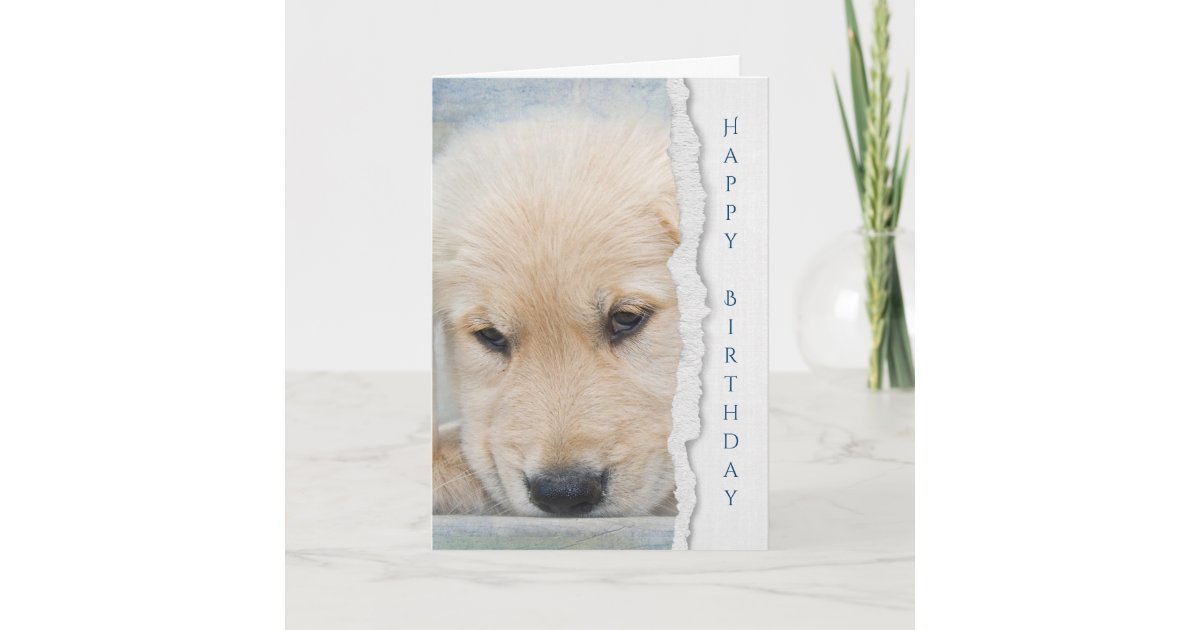 golden retriever puppy birthday card | Zazzle