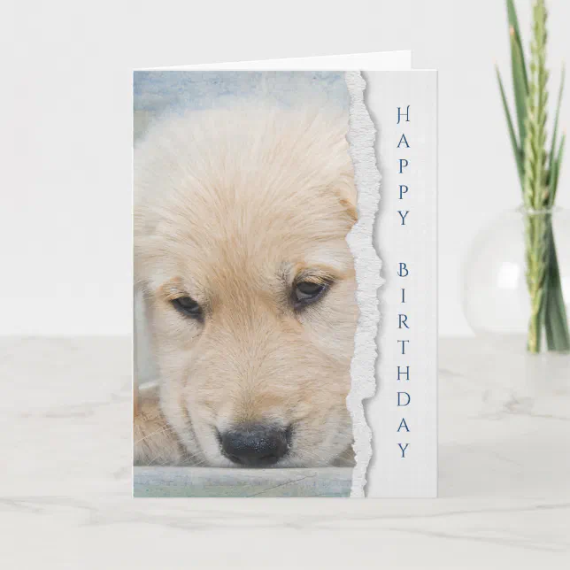 golden retriever puppy birthday card | Zazzle