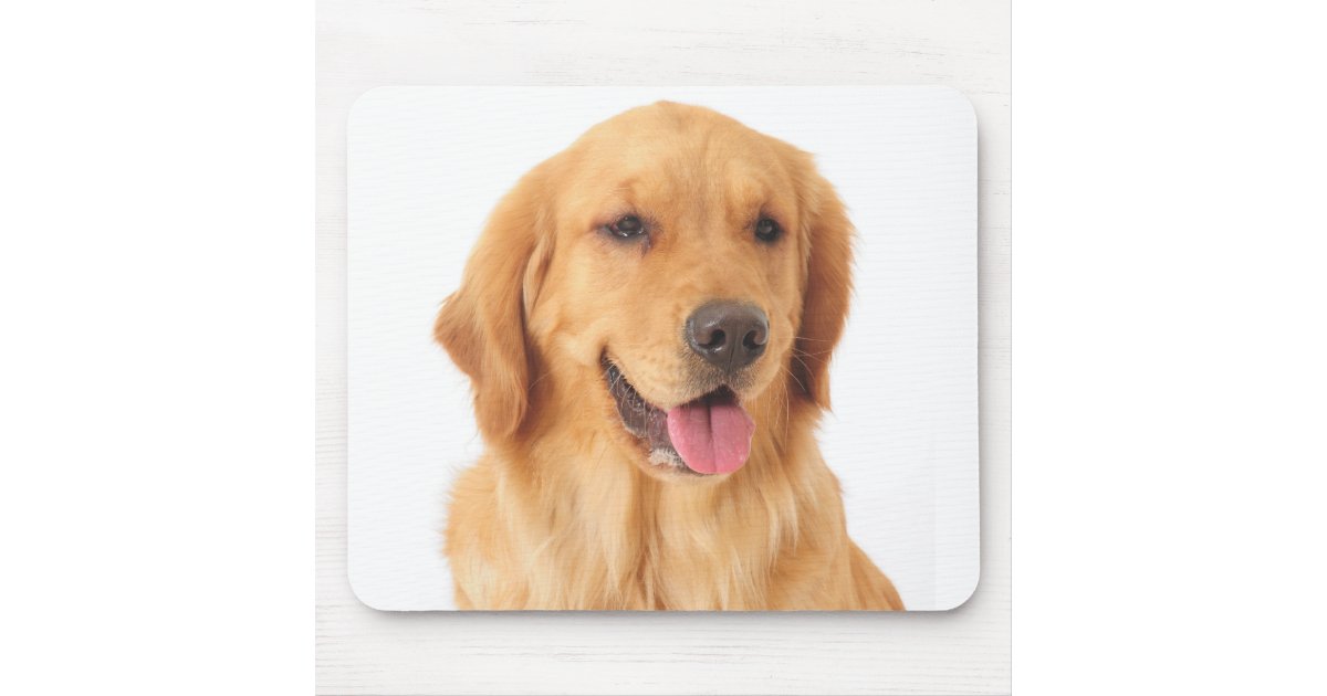 Golden Retriever Puppy Dog Love Mouse Pad | Zazzle