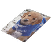 Golden Retriever Puppy iPad Smart Cover | Zazzle