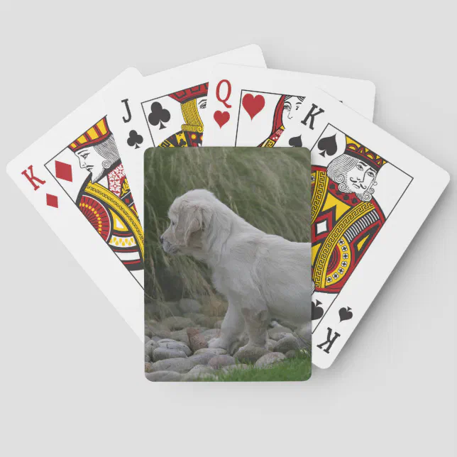 Golden Retriever Puppy Standing Poker Cards | Zazzle