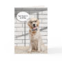 Golden Retriever Retirement Card | Zazzle