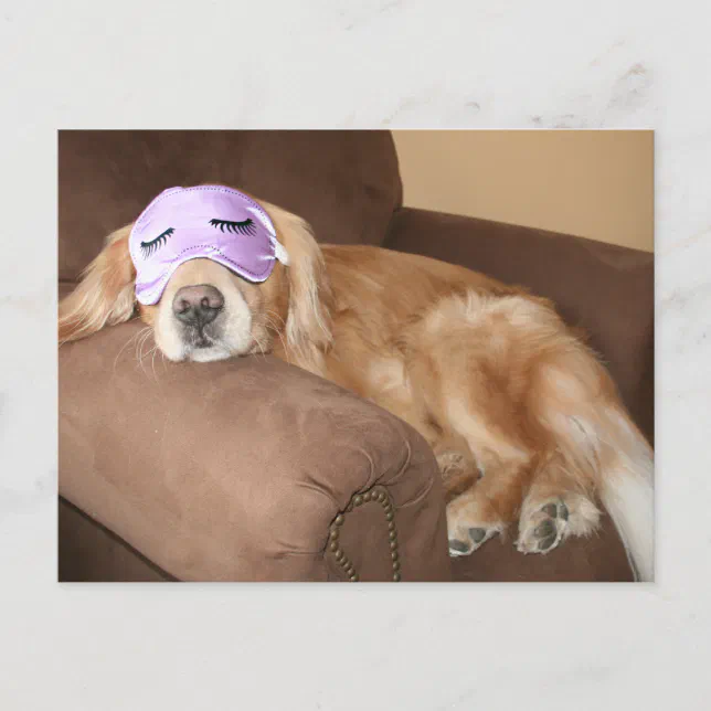 Golden Retriever Retirement Postcard | Zazzle
