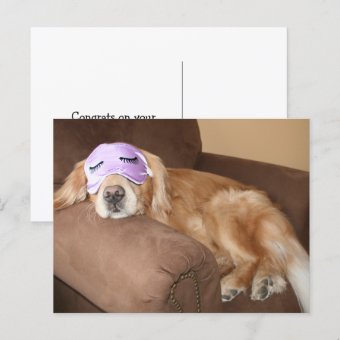 Golden Retriever Retirement Postcard | Zazzle