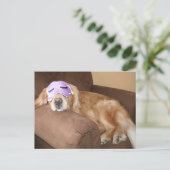 Golden Retriever Retirement Postcard | Zazzle