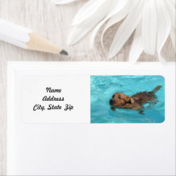 Golden Retriever Return Address Label, Swim Label | Zazzle