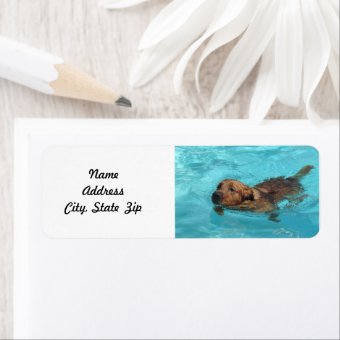 Golden Retriever Return Address Label, Swim Label | Zazzle