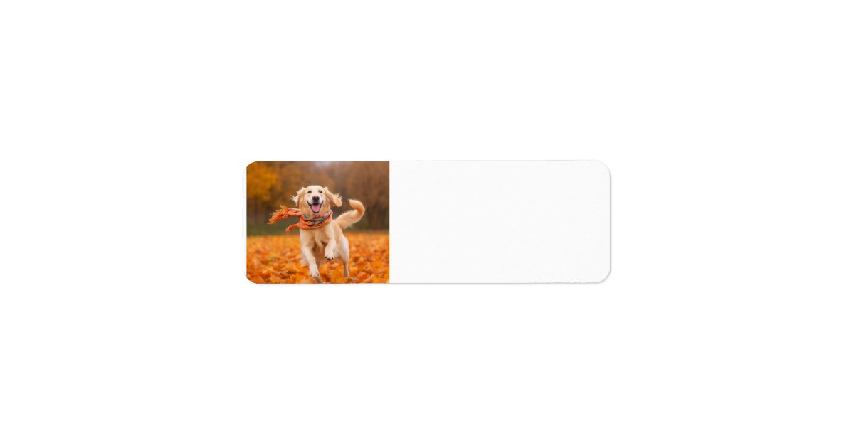 Golden Retriever Return address labels | Zazzle