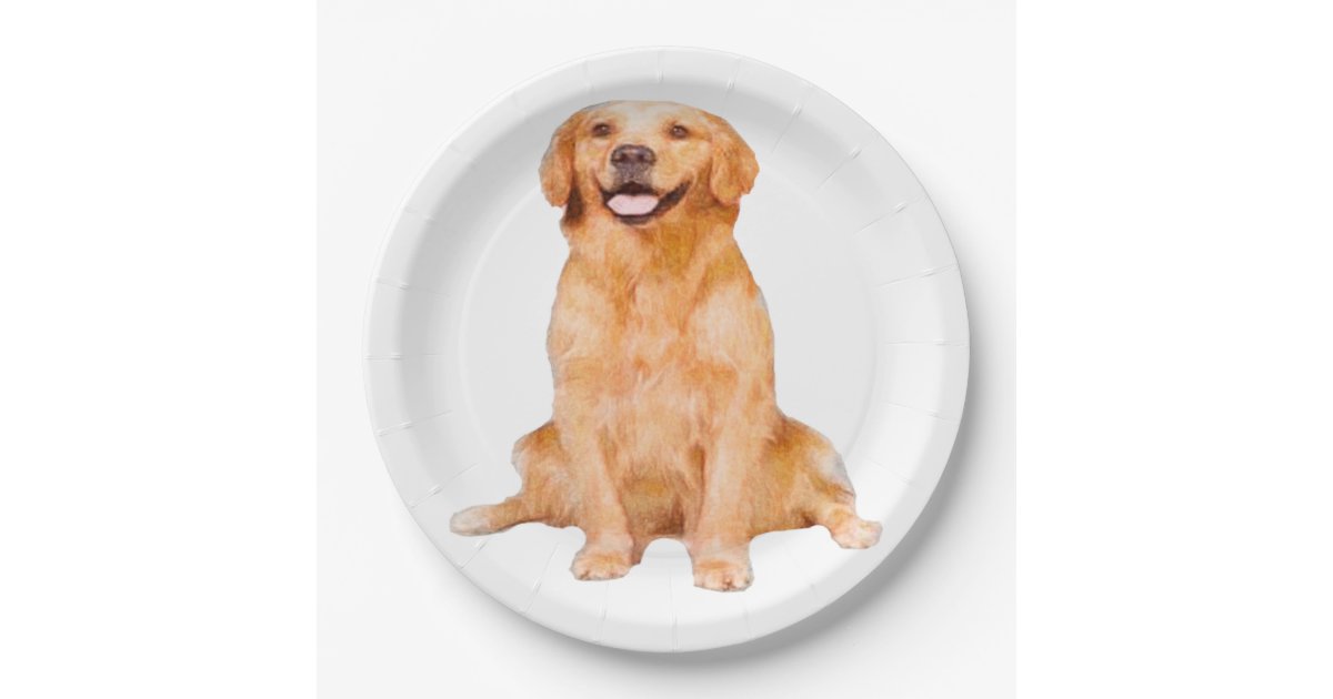 Golden Retriever Sitting Paper Plates | Zazzle