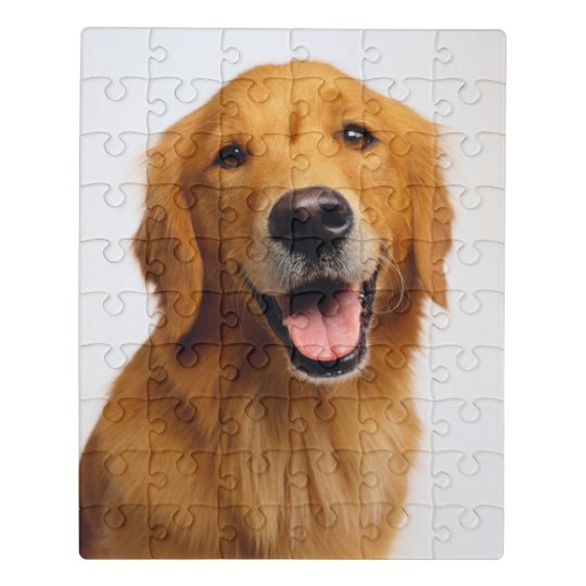 Golden Retriever Smile Jigsaw Puzzle | Zazzle.com