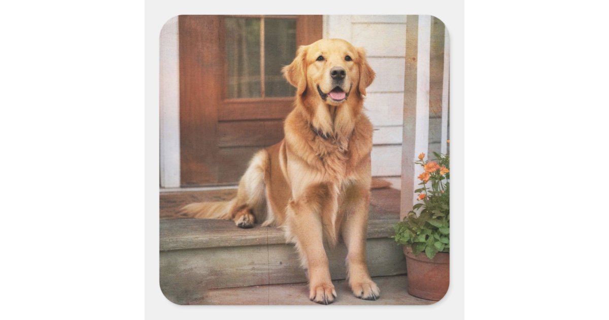 Golden Retriever Stickers | Zazzle
