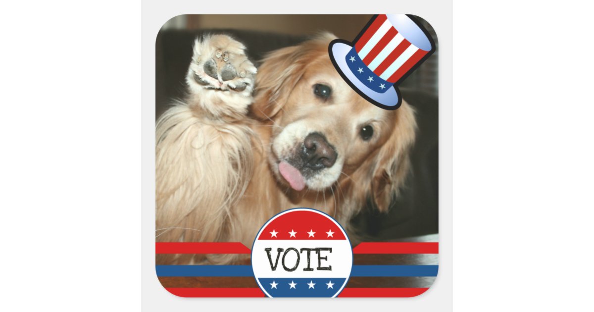 Golden Retriever VOTE Stickers | Zazzle