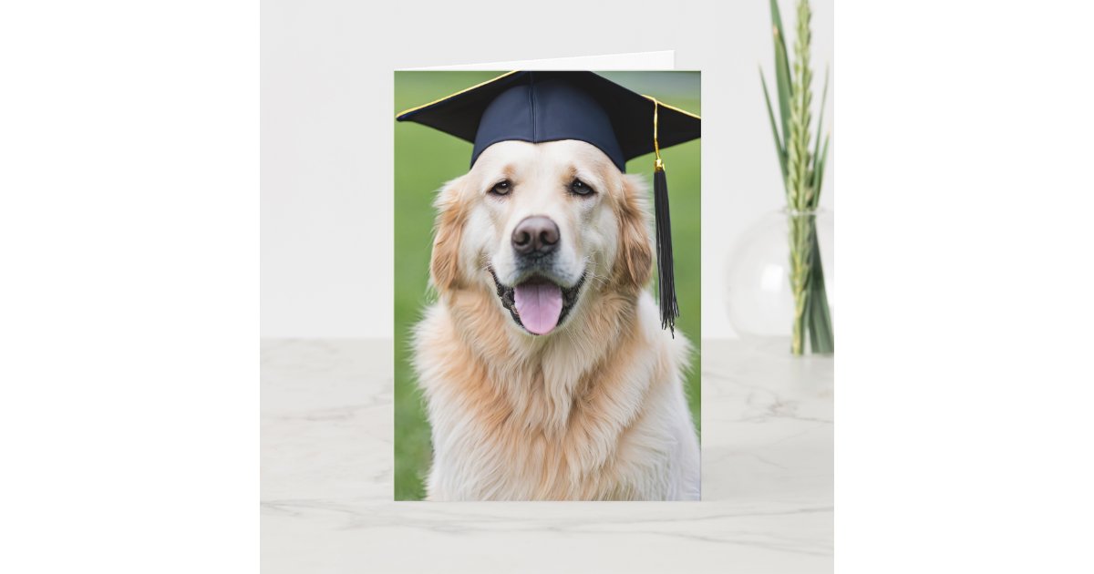 Golden Retriever Wearing Graduation Cap Card | Zazzle
