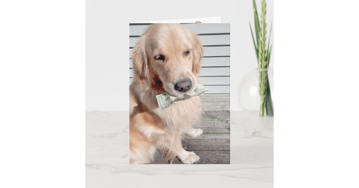 Golden Retriever with Birthday Money Card | Zazzle