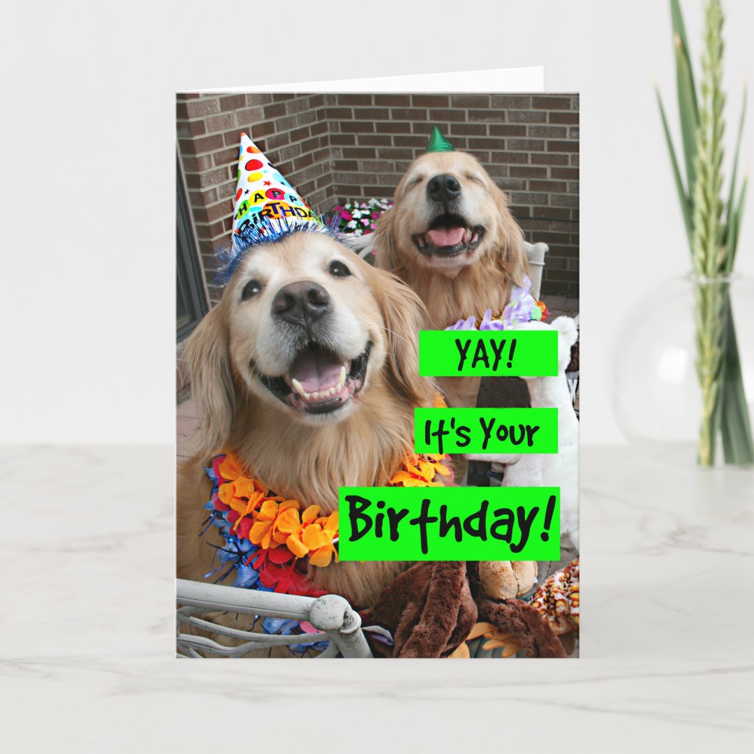Golden Retriever Yay It's Your Birthday Card | Zazzle