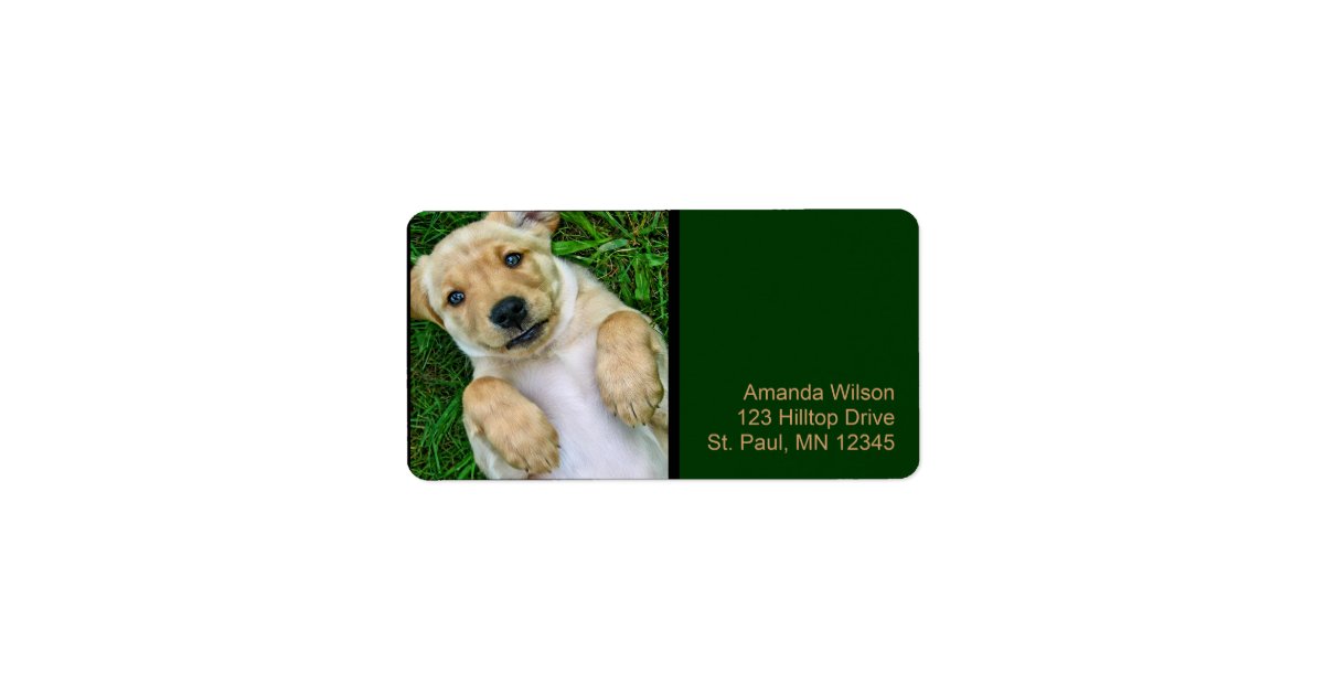 Golden Retriever Yellow Lab Puppy Address Labels | Zazzle