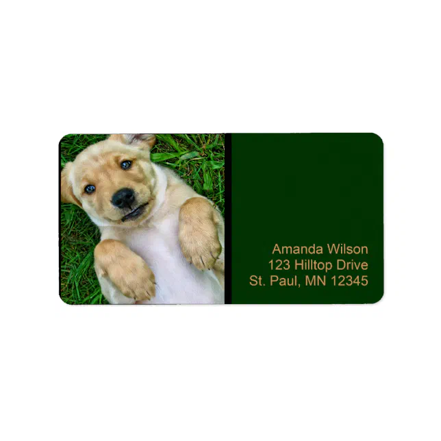 Golden Retriever Yellow Lab Puppy Address Labels | Zazzle