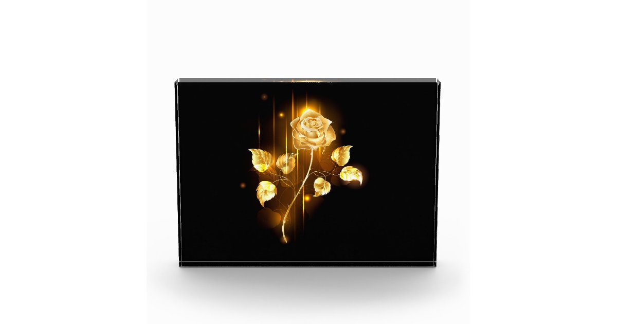 Golden rose ( gold rose ) acrylic award | Zazzle