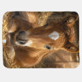 Golden Slumber gentle Foal Baby Blanket | Zazzle