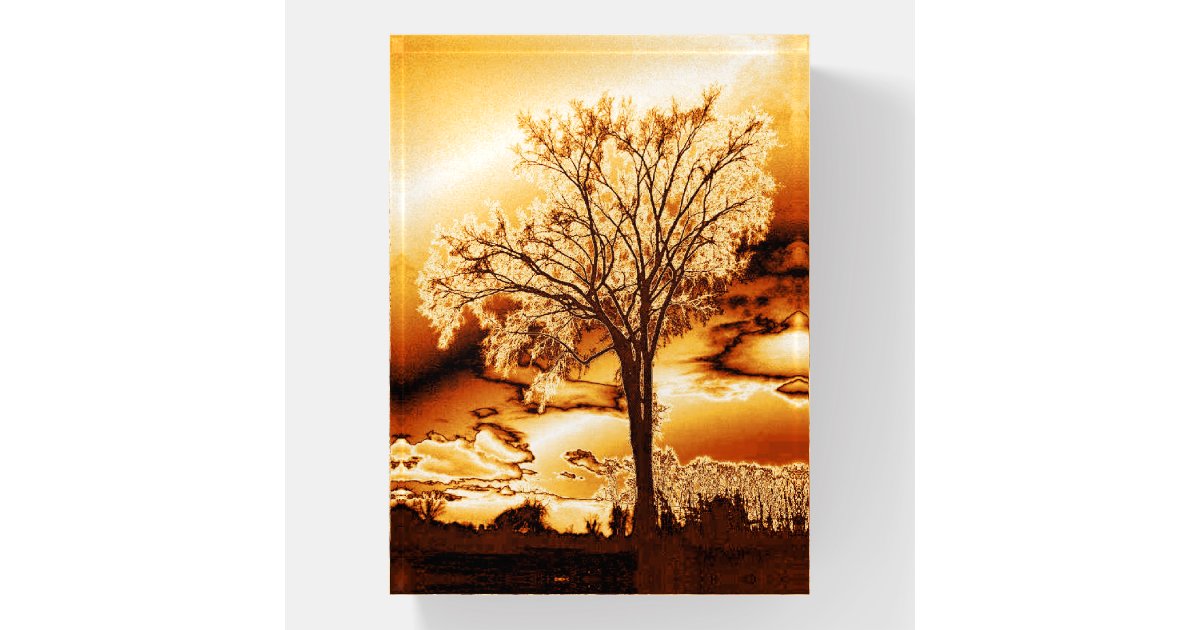 Golden Tree Of Life Paperweight | Zazzle