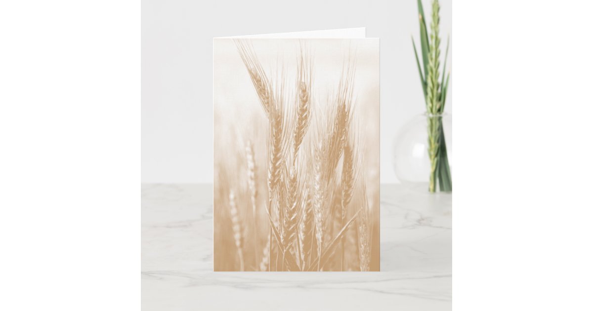 Golden Wheat Card | Zazzle