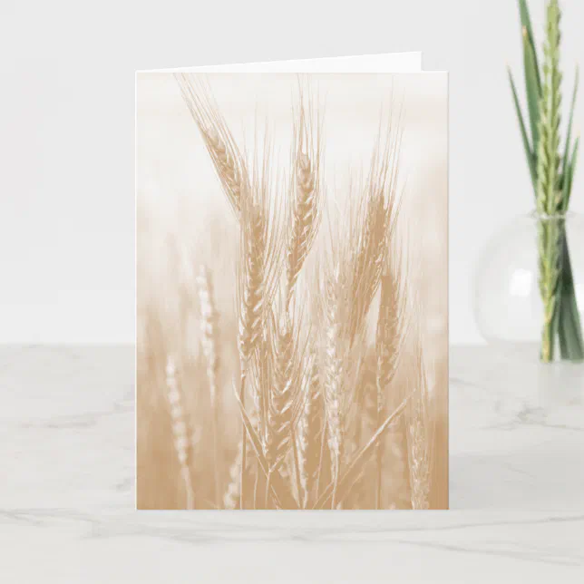 Golden Wheat Card | Zazzle