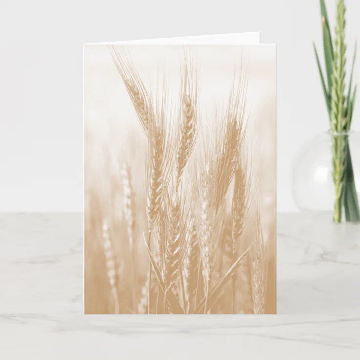Golden Wheat Card | Zazzle