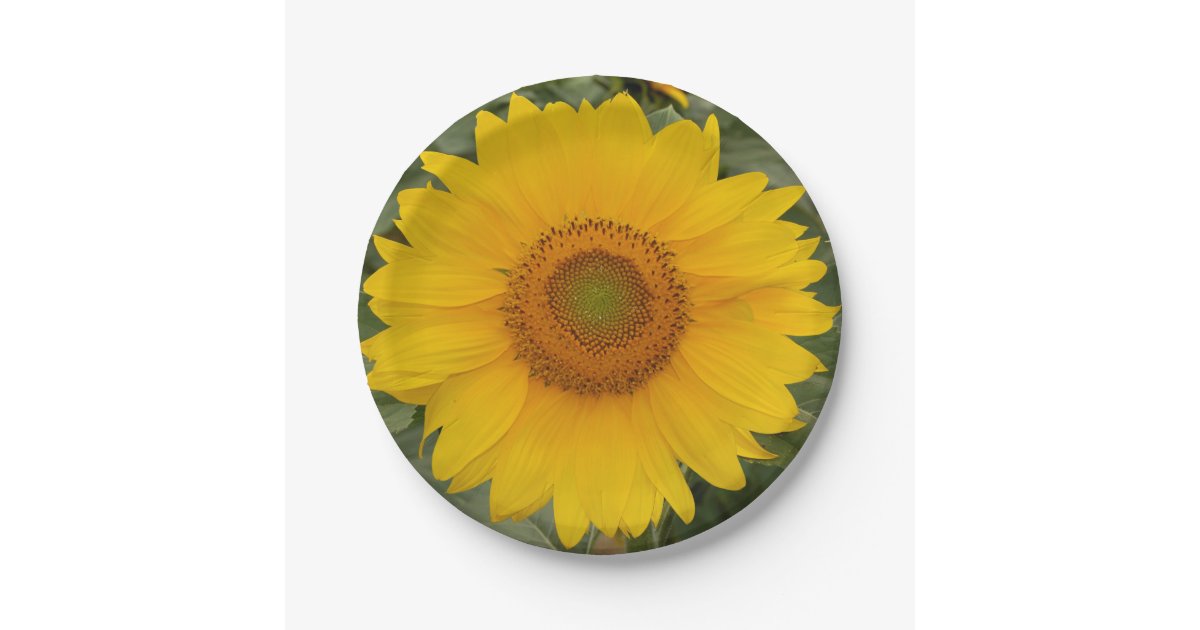 Golden Yellow Sunflower Paper Plates | Zazzle