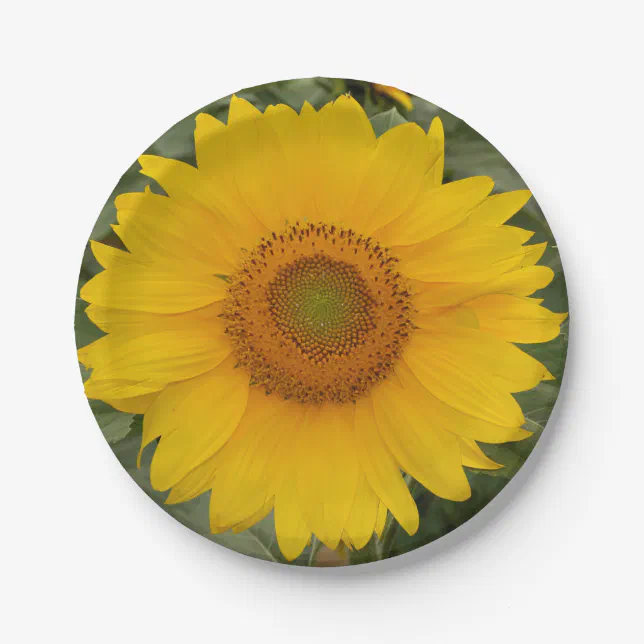 Golden Yellow Sunflower Paper Plates | Zazzle