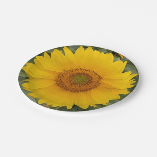 Golden Yellow Sunflower Paper Plates | Zazzle