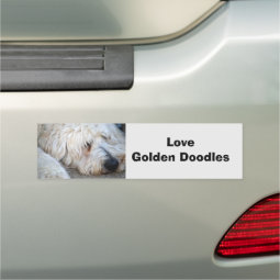 Goldendoodle background bumper sticker car magnet | Zazzle