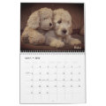 Goldendoodle Calendar | Zazzle