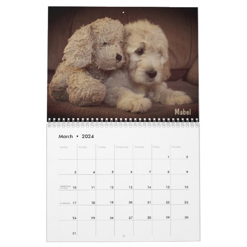 Goldendoodle Calendar | Zazzle