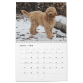 Goldendoodle Calendar | Zazzle