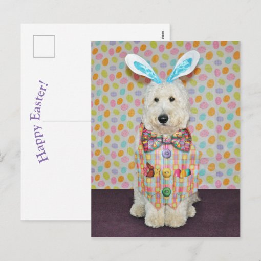 Goldendoodle Easter postcard | Zazzle